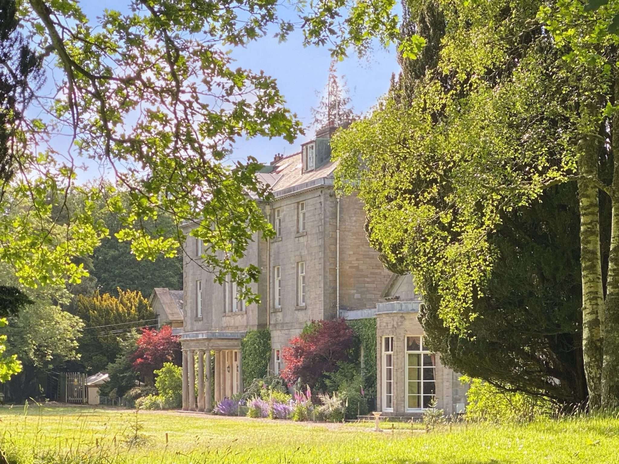 Mixing Alcohol and Antidepressants: Can You Do It Safely? - Castle Craig