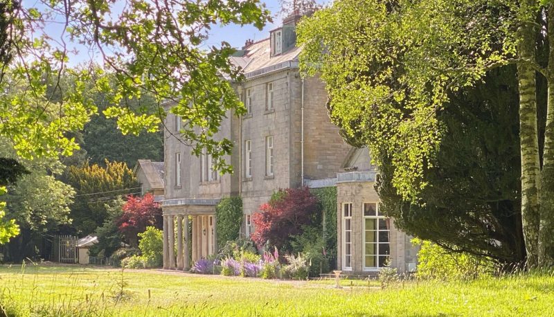 Cocaine Eyes: How Is Cocaine Affecting Your Eyes?