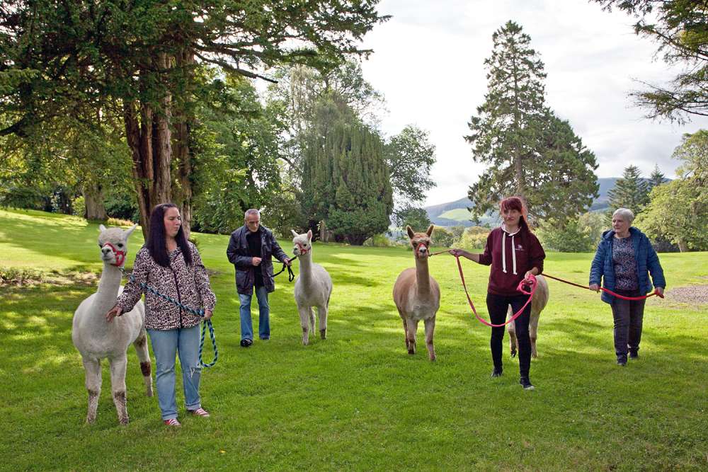 Outdoor Activities at Castle Craig