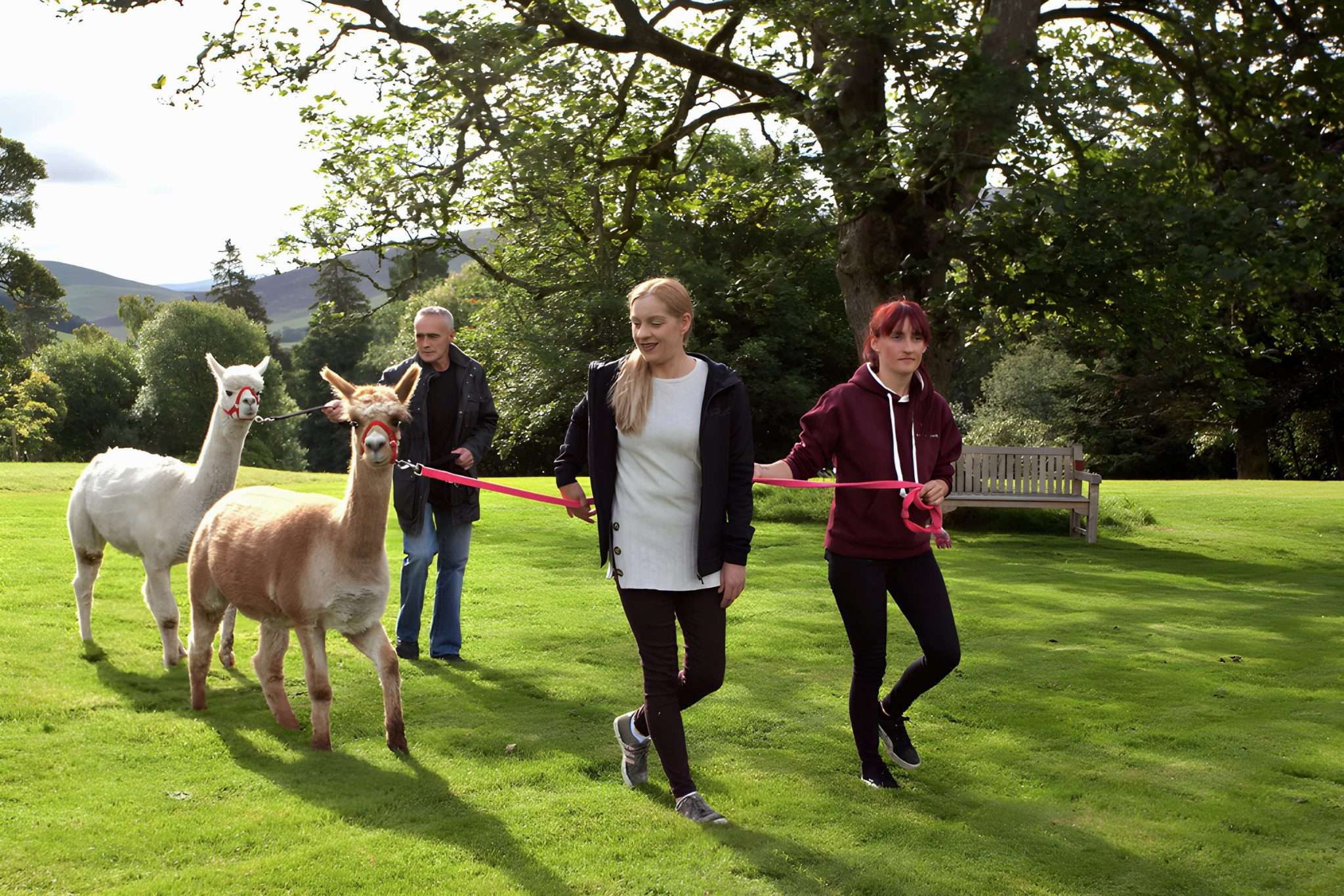 Why Choose Castle Craig? - Castle Craig